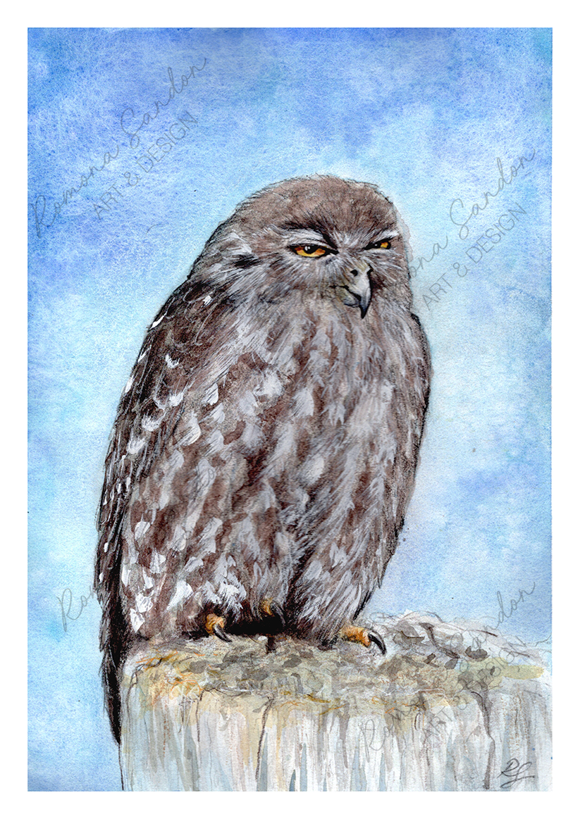 'Winking Talon' Art Print – Romona Sandon Art & Design
