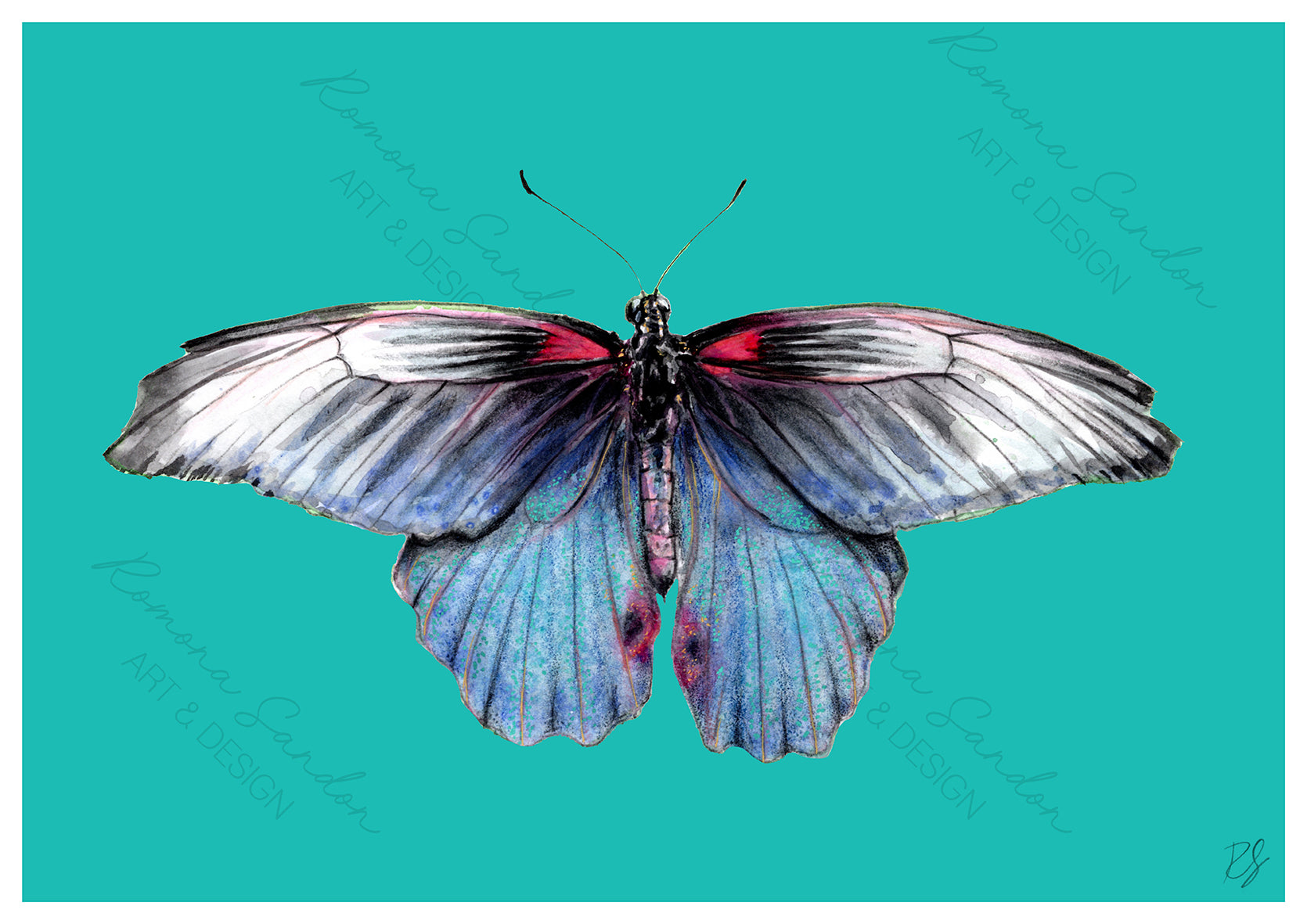 'Singapore Memnon' Art Print – Romona Sandon Art & Design